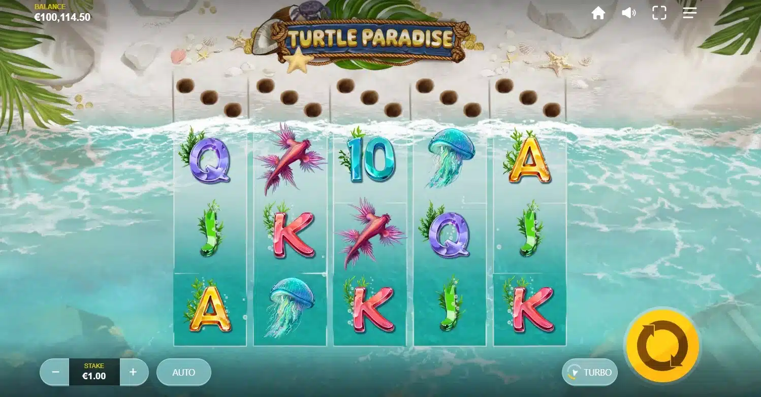 Turtle-Paradise-Base-Game